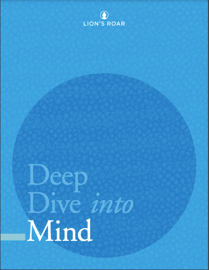 E-Book: Deep Dive into Mind – Lion’s Roar