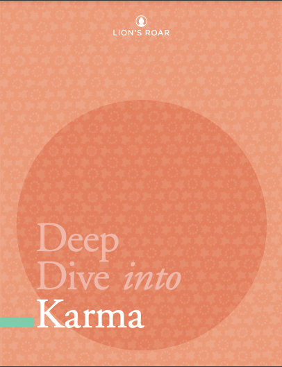 E-Book: Deep Dive into Karma – Lion’s Roar