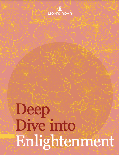 E-Book: Deep Dive into Enlightenment – Lion’s Roar