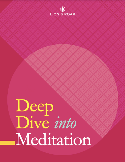 E-Book: Deep Dive into Meditation – Lion’s Roar