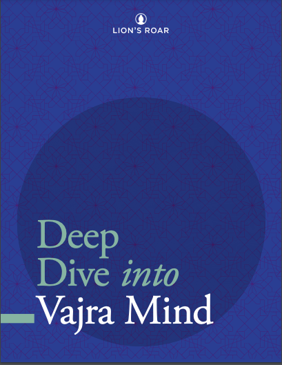 E-Book: Deep Dive into Vajra Mind – Lion’s Roar