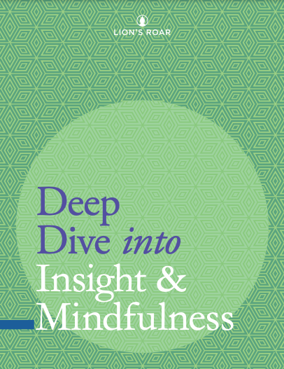 E-Book: Deep Dive into Insight & Mindfulness – Lion’s Roar