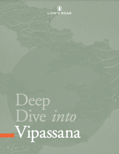 E-Book: Deep Dive into Vipassana – Lion’s Roar